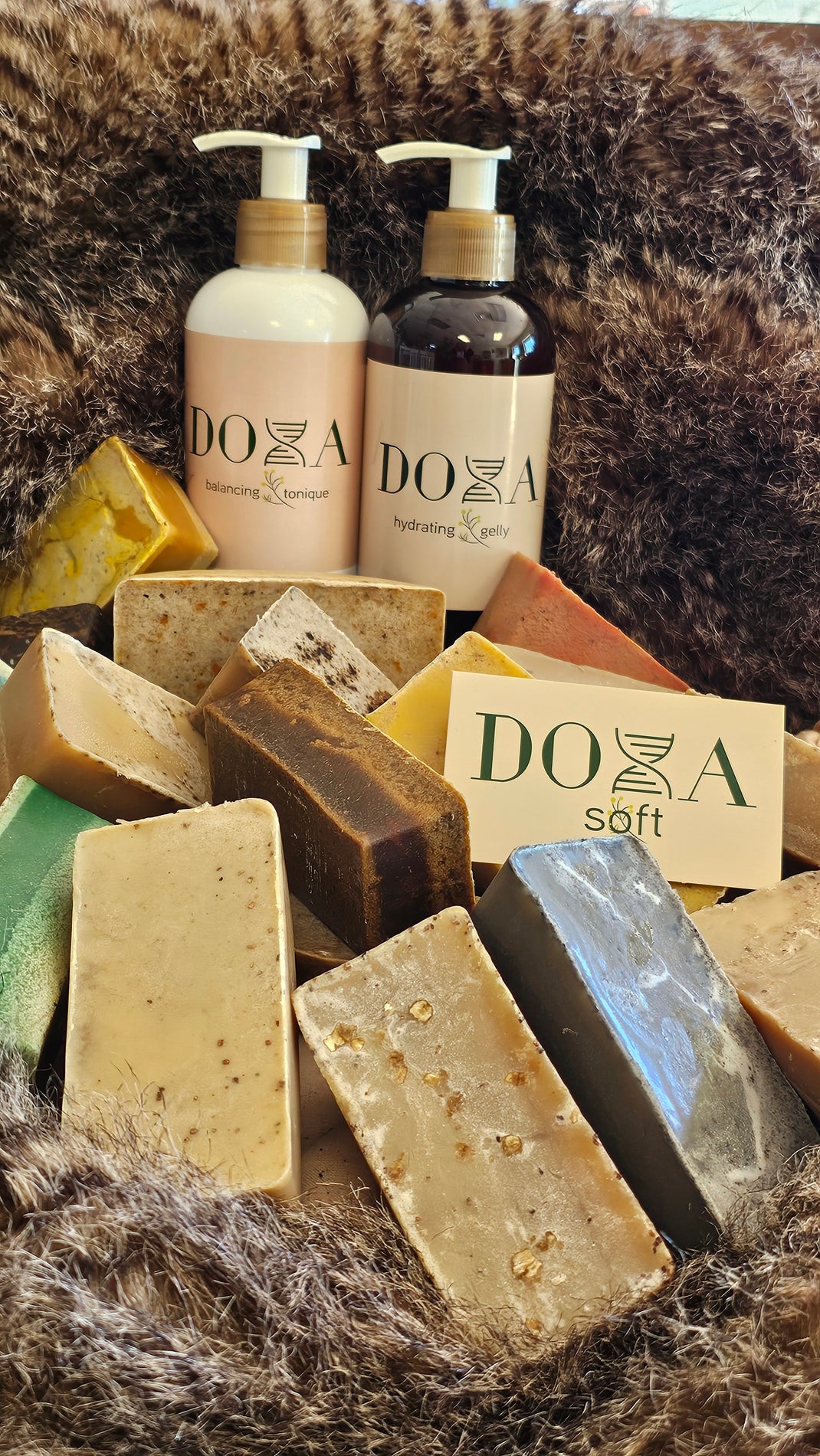 Doxa At Home – The Doxa Gene